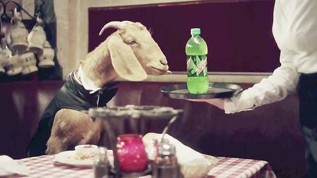 Mountain "Don't" - In - Image 1 from Top 10 Racially Insensitive ...