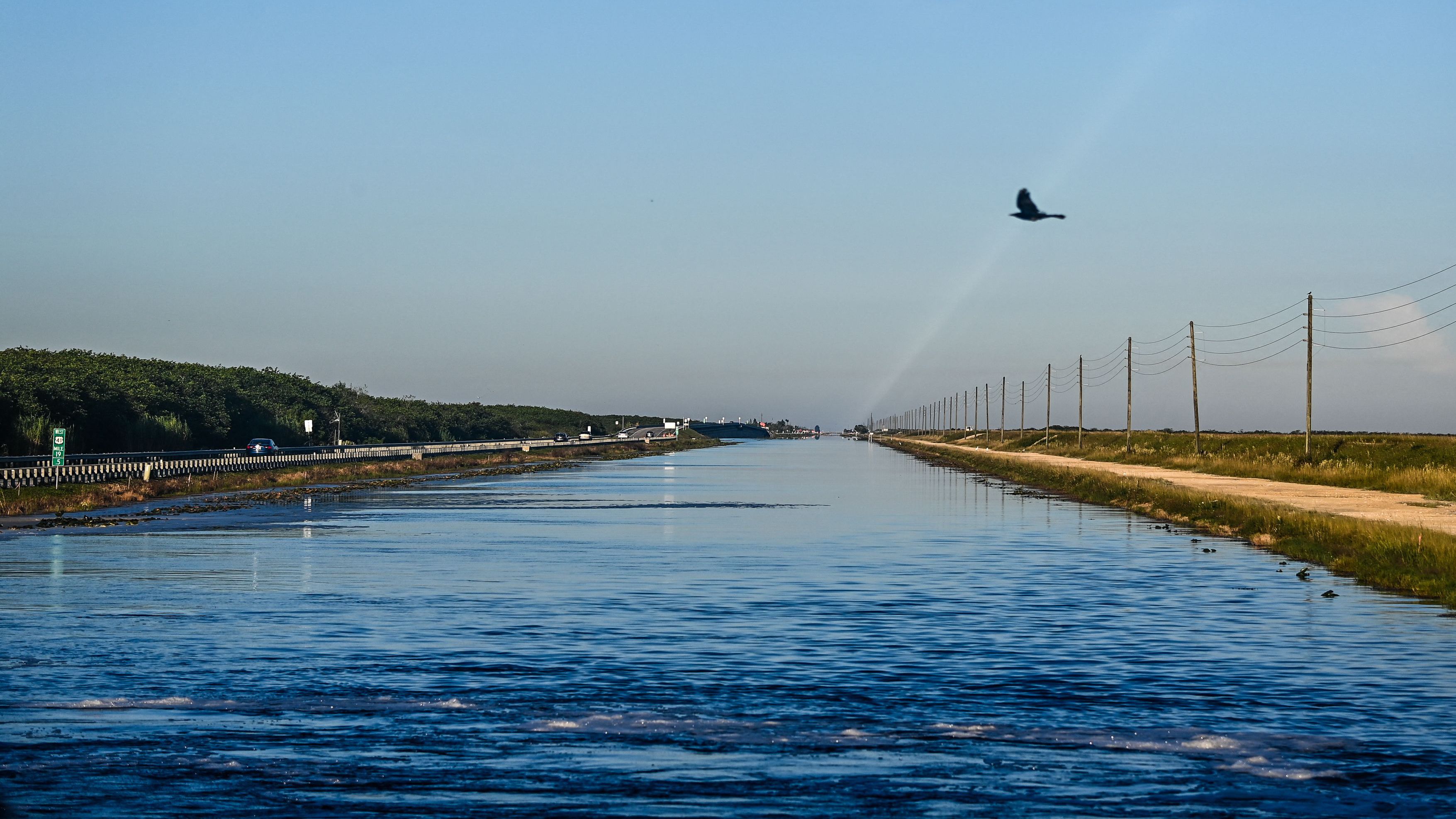 Teen Attempts To Save 6-Year-Old Brother From Drowning During Hurricane ...