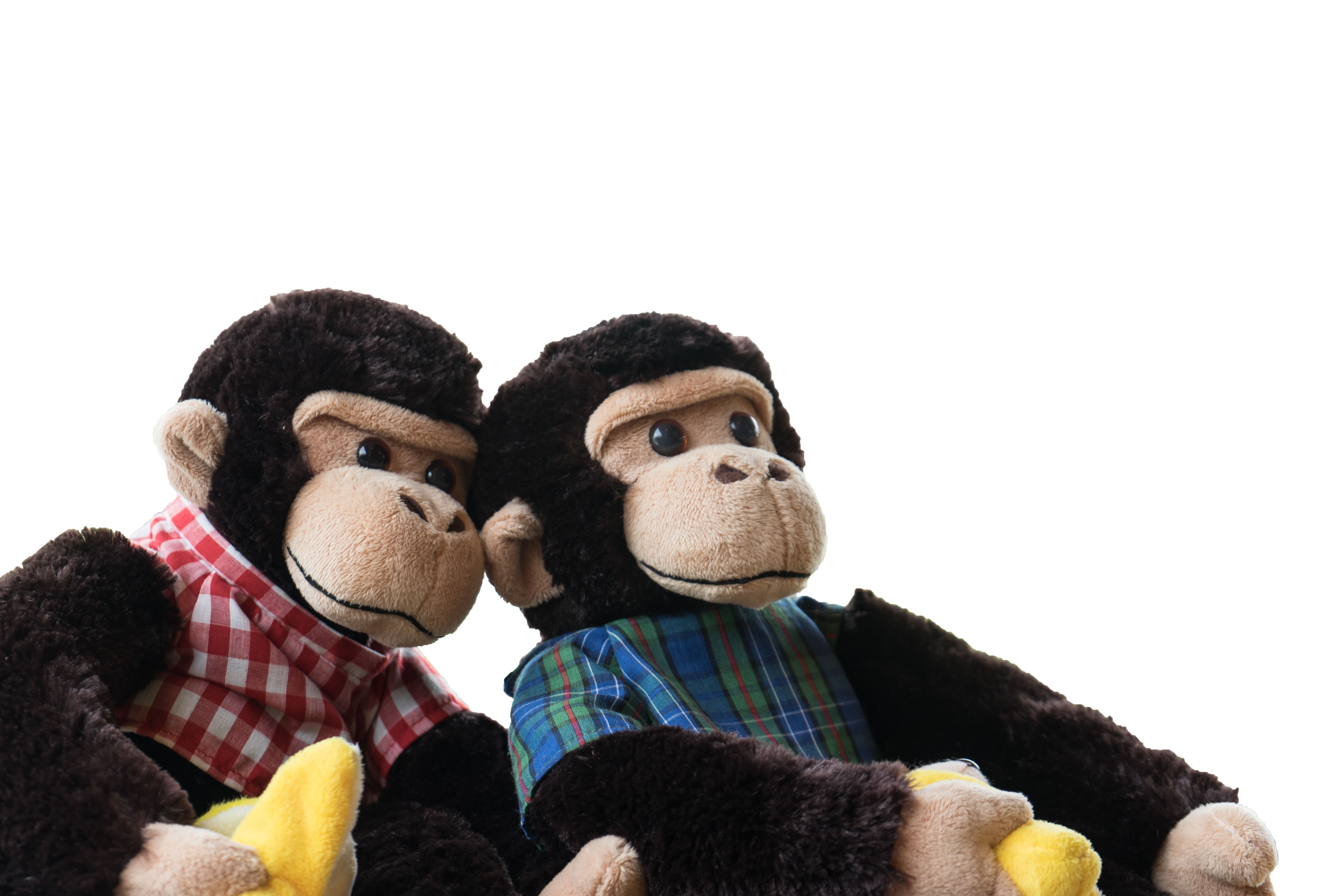 Woman Disgusted After Finding Stuffed Monkey With A Noose And The Note ...