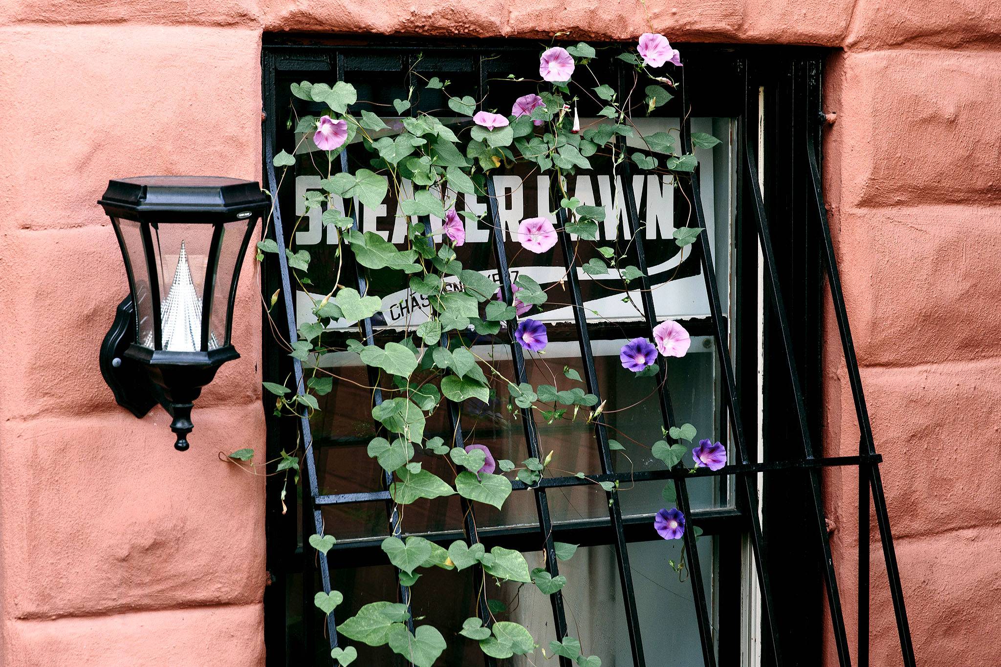 The Spot - Reed - Image 2 from Chase Reed: From Sneaker Pawn to King | BET