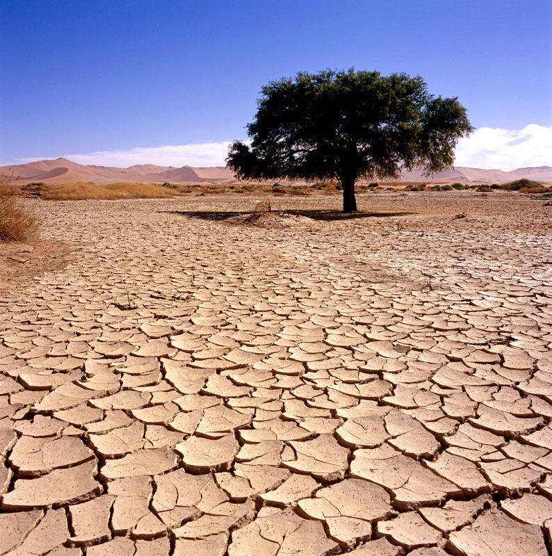 Namibia’s Worst Drought in - Image 1 from Namibia’s Worst Drought in 30 ...