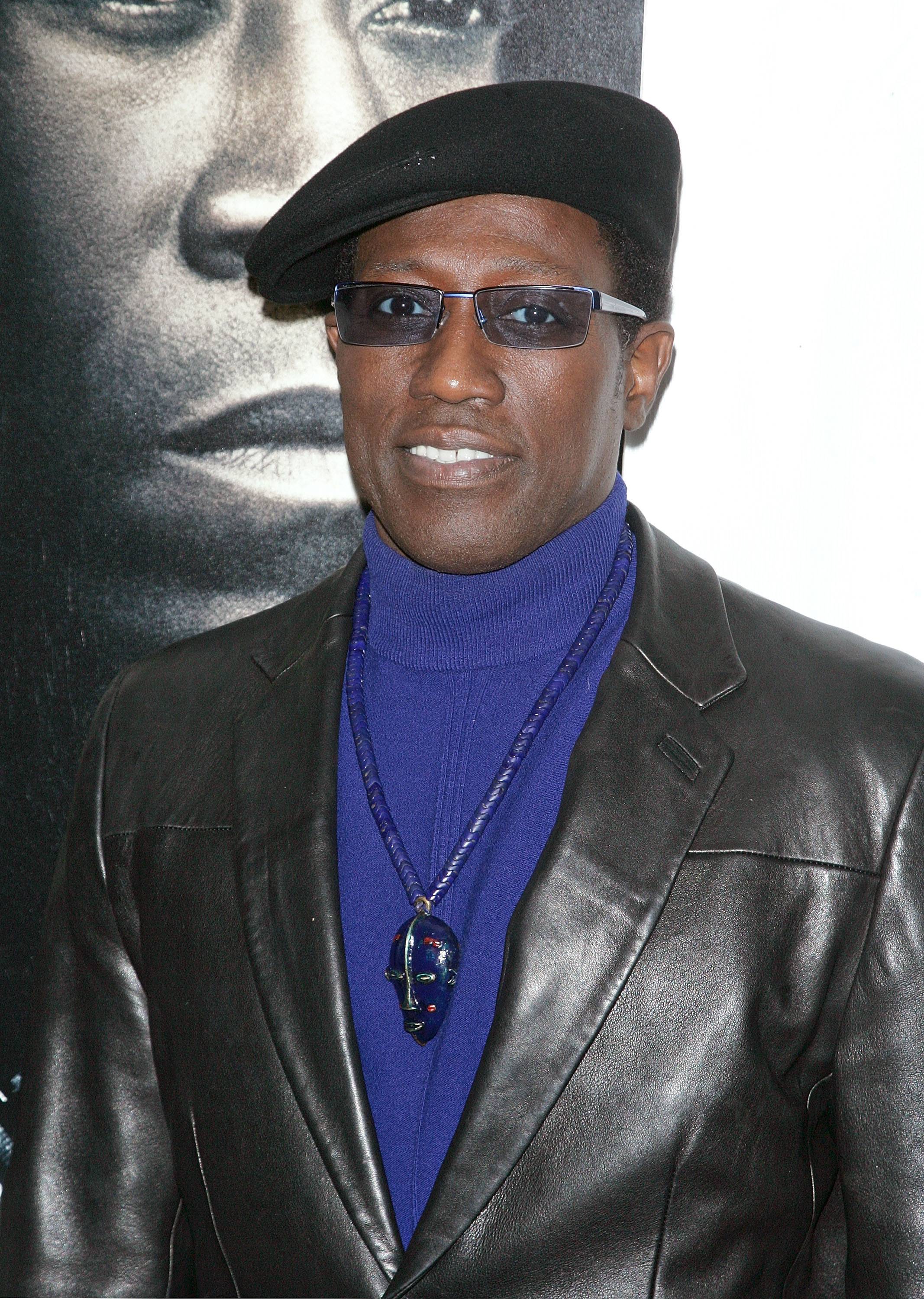 Wesley Snipes - Wesley - Image 4 from 23 Celebs Who Weren't Afraid to ...