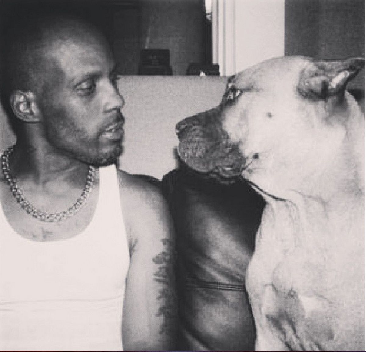 DMX - X's love - Image 7 from Doggy Dog World: Music Stars And Man's ...