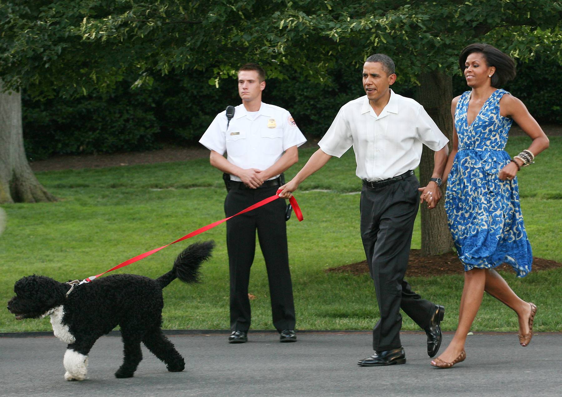 The First Dog - - Image 2 from Meet Sunny: The Obamas' New Puppy | BET
