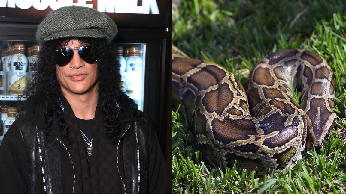 Slash - One snake - Image 8 from Strange Celebrity Pets | BET