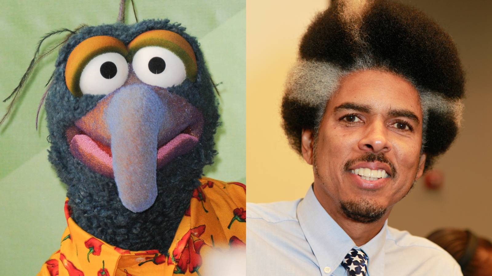 'The Humpty Dance' – - Image 20 from 20 Mashups Of The Muppets Rapping ...