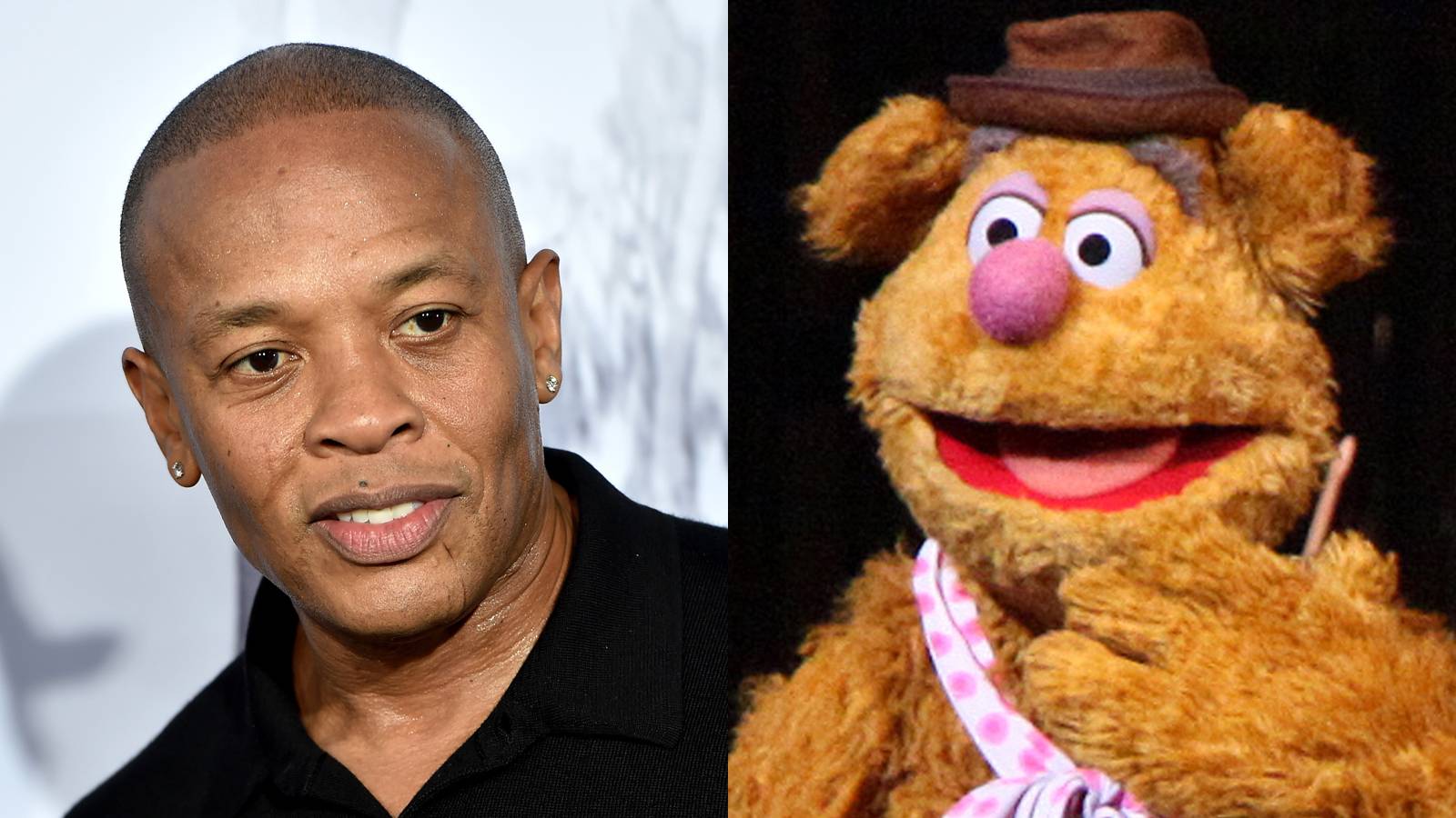 'Deep Cover' – Dr. - Image 11 from 20 Mashups Of The Muppets Rapping ...