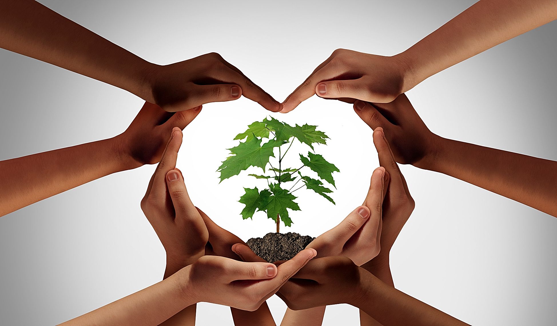 5 Black Environmental Warriors You Need To Know | News | BET