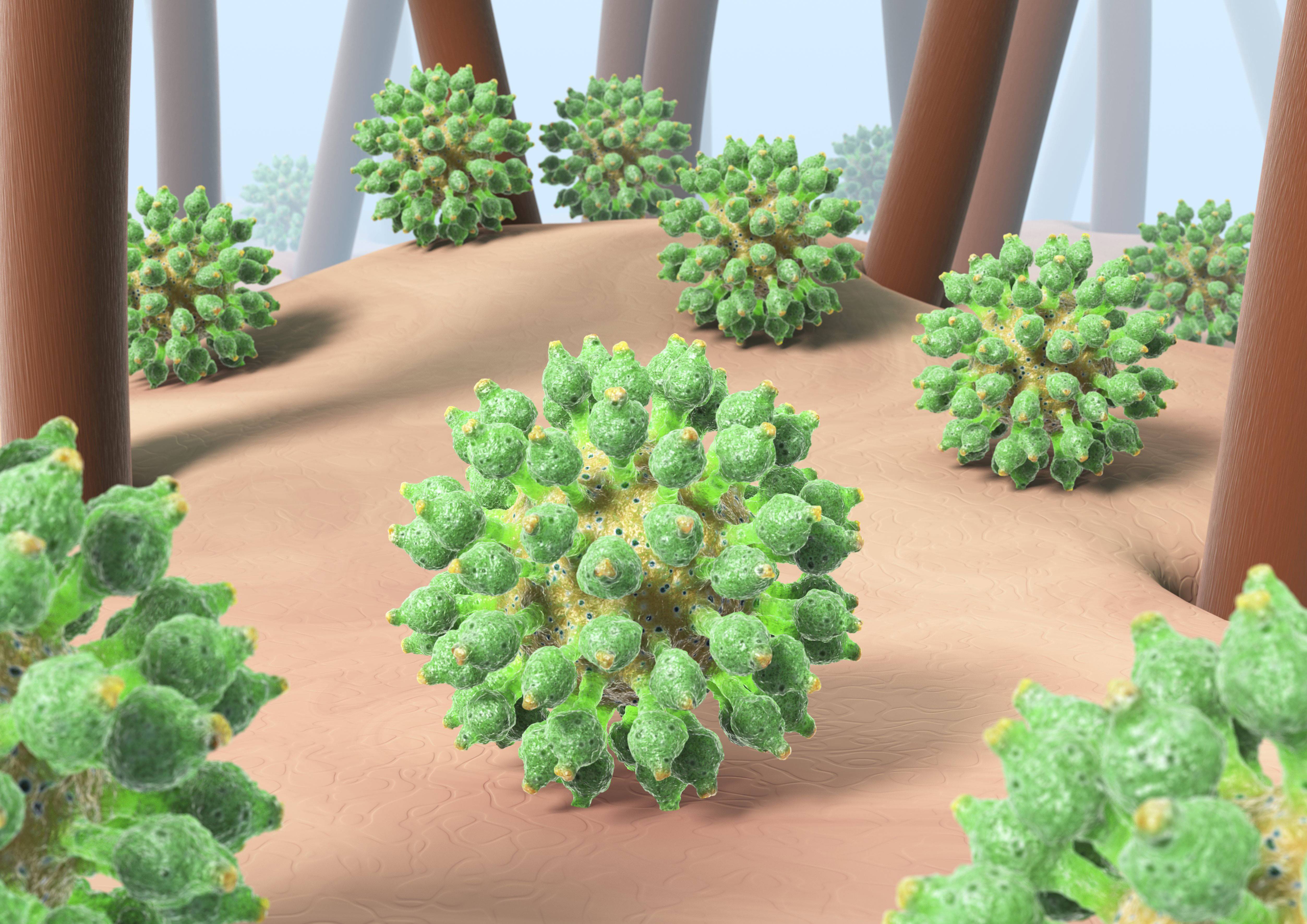 Almost Everyone Has HPV - Image 6 from Nine Things You Need to Know ...