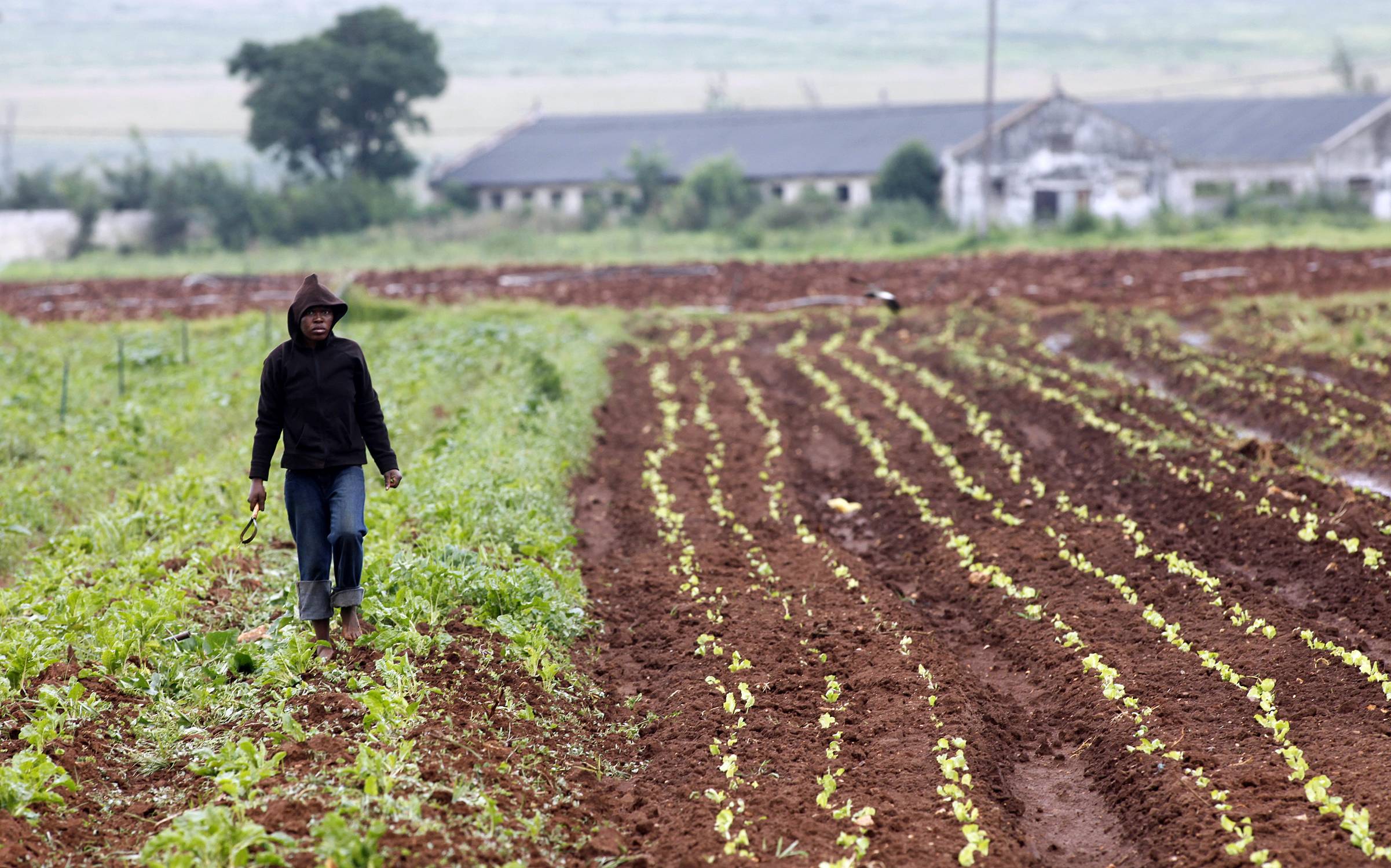 Restoring Land Confiscated During - Image 5 from Nelson Mandela's ...