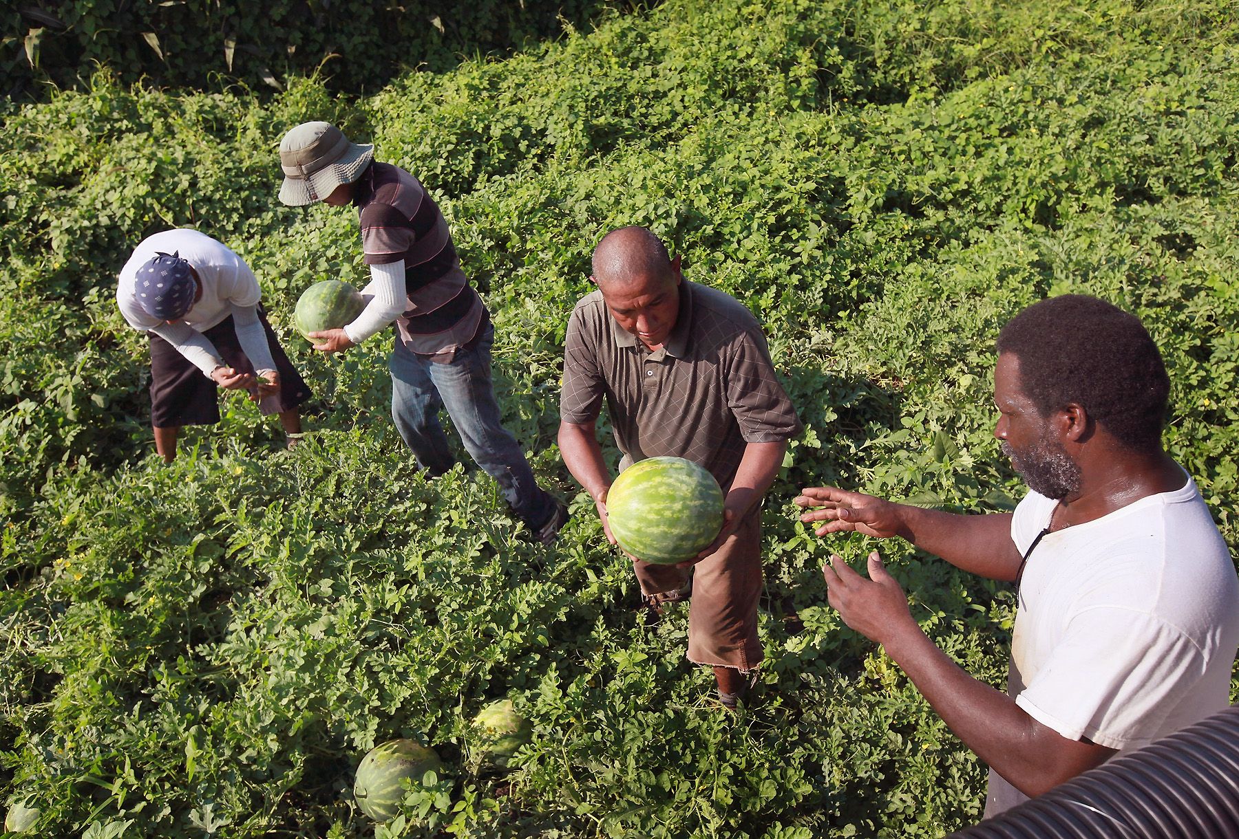 A Balanced Approach - - Image 13 from Immigration Reform Blueprint 101 ...