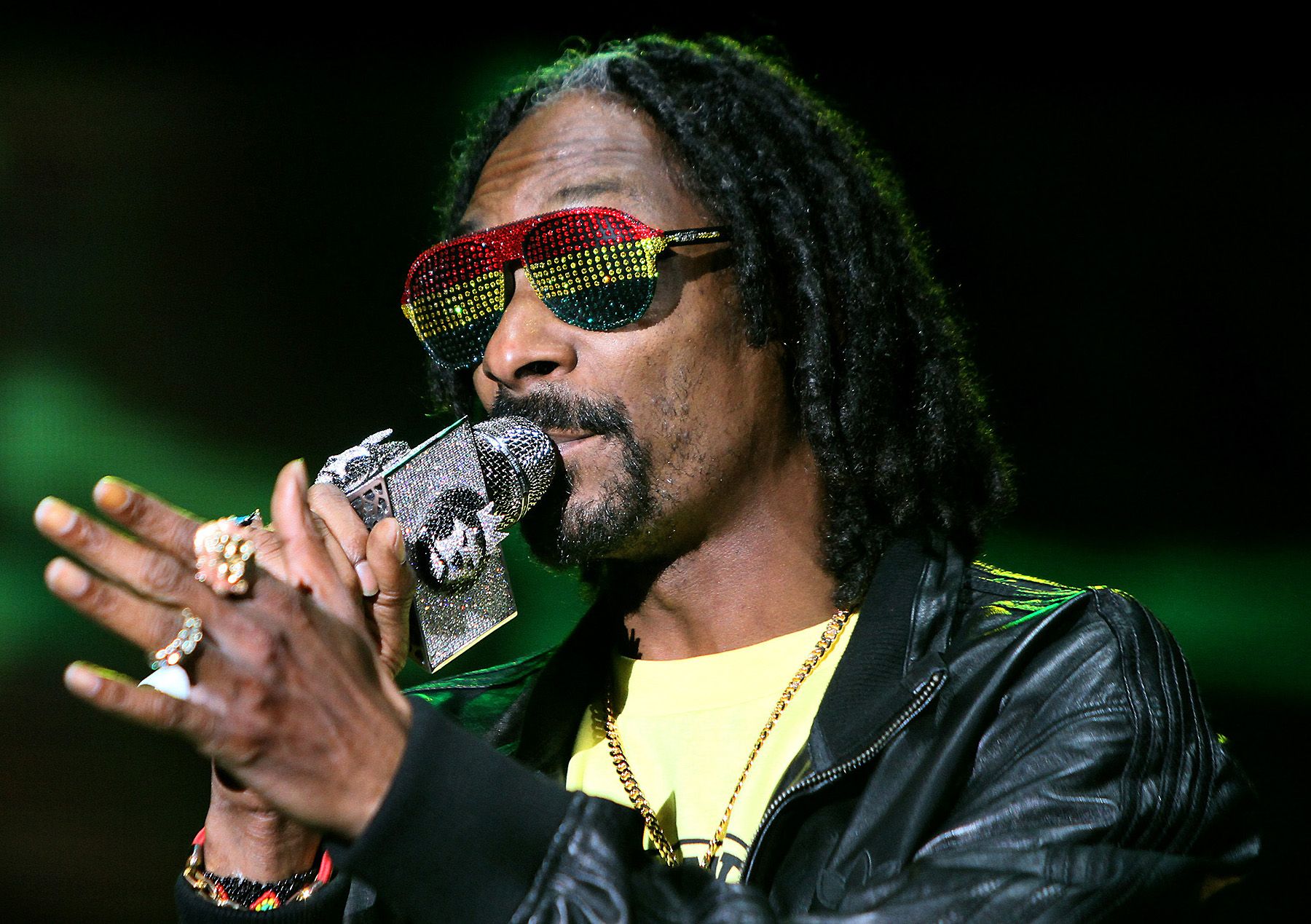 Snoop Dogg - Snoop - Image 13 from Second Time Around: Music Stars With ...