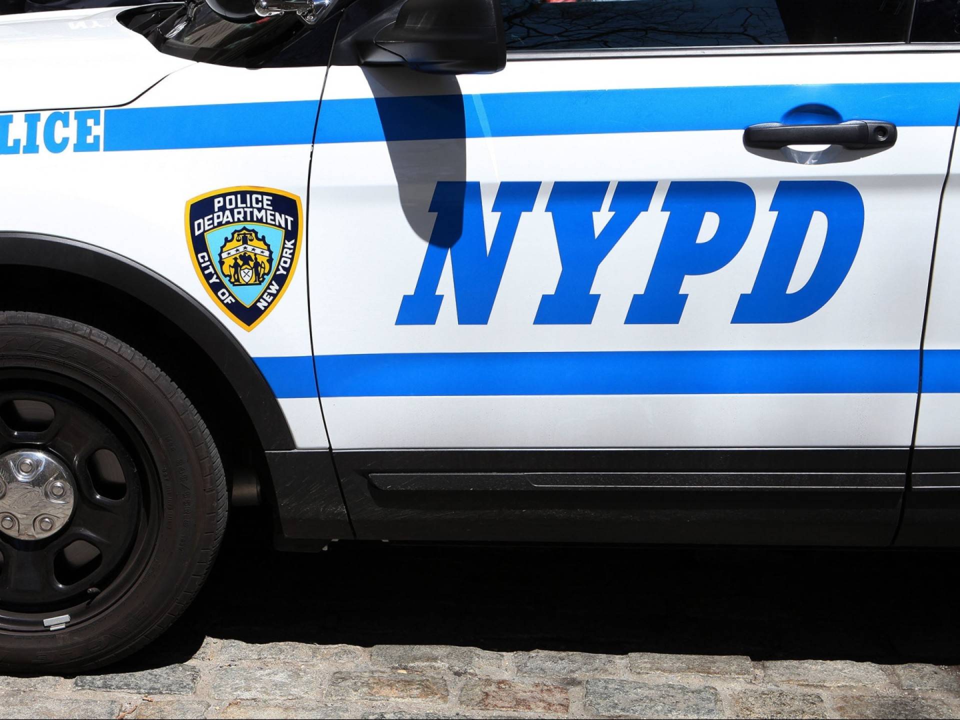 Harlem Woman's Body Found In Storage Container, Cousin Charged With ...