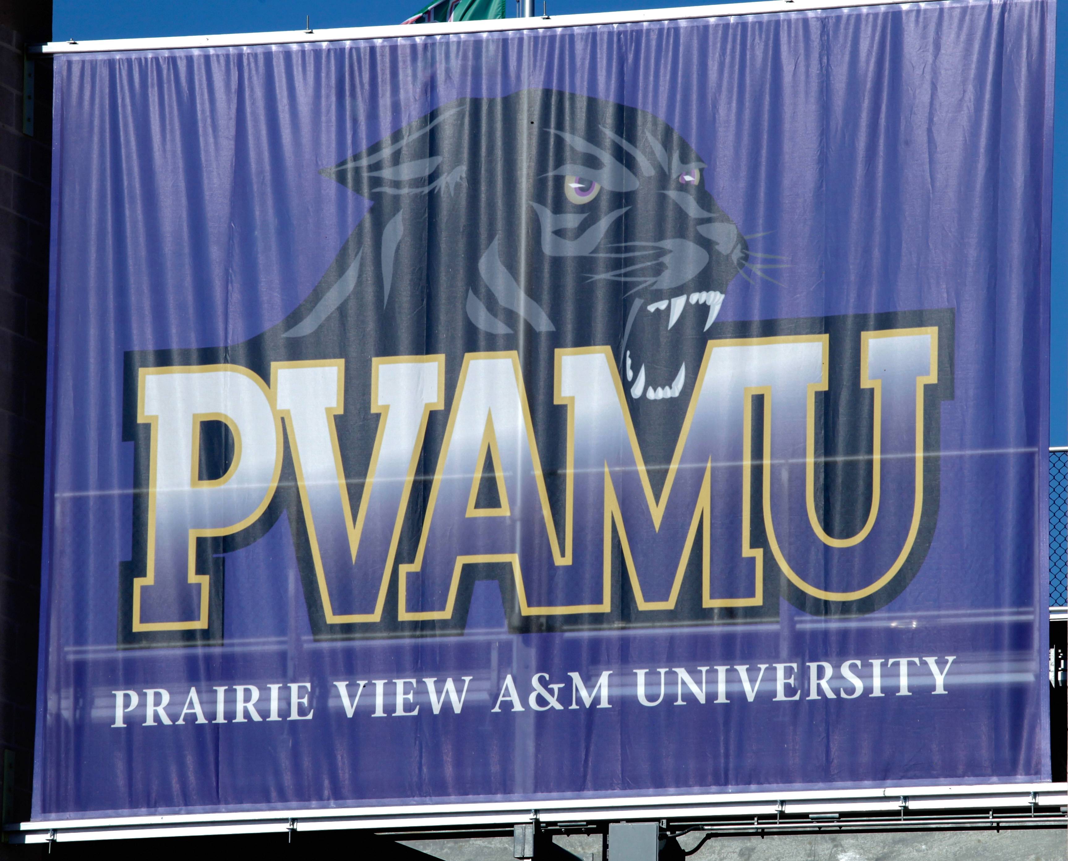 Say Hello - Welcome - Image 1 from What Is a HBCU Homecoming Really ...