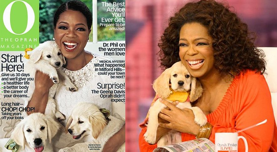 50 Cent - The - Image 7 from Stars and Their Pets | BET