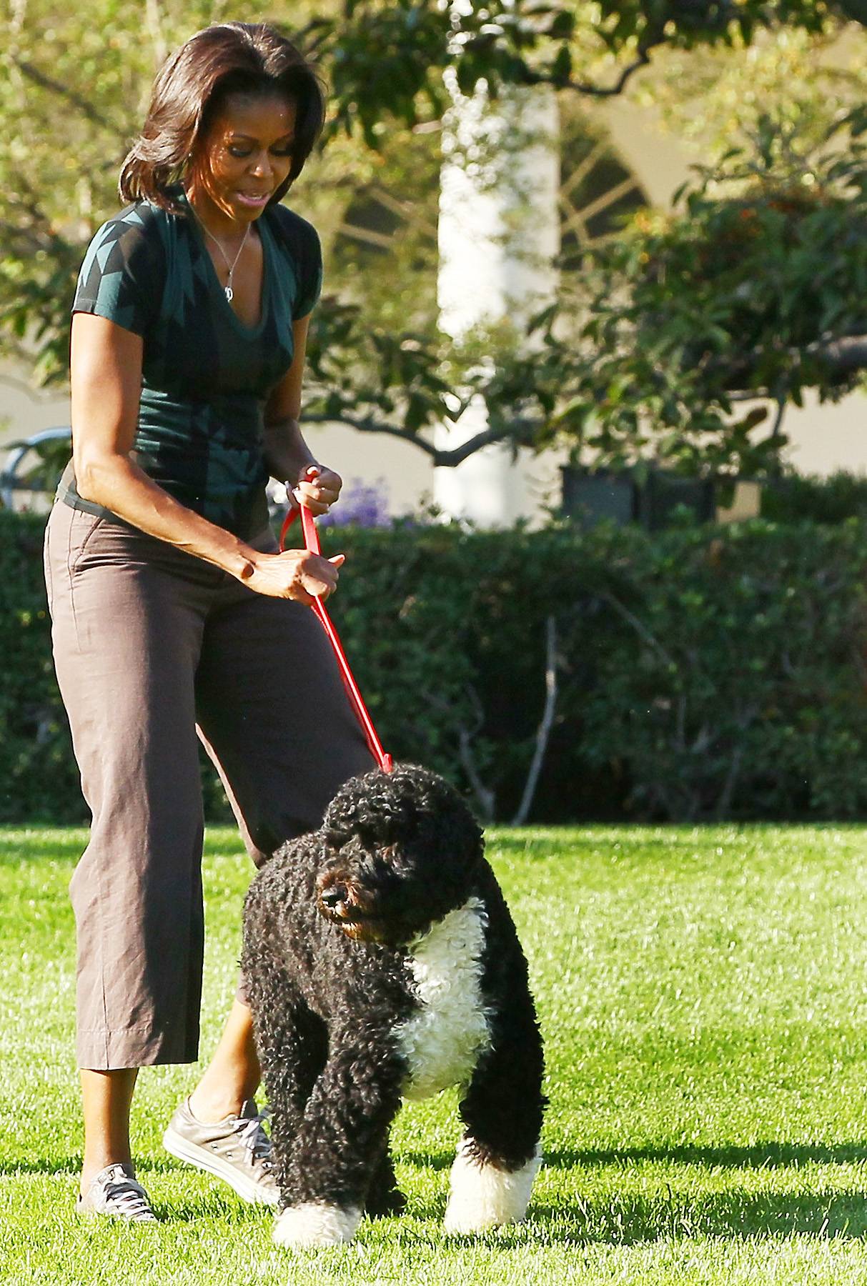 Michelle Obama - The - Image 1 from Stars and Their Pets | BET
