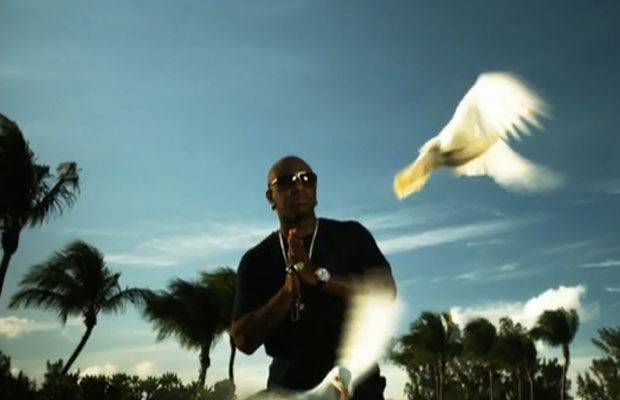 Cool, Calm and Collected - Image 17 from The Many Meanings of Birdman's ...