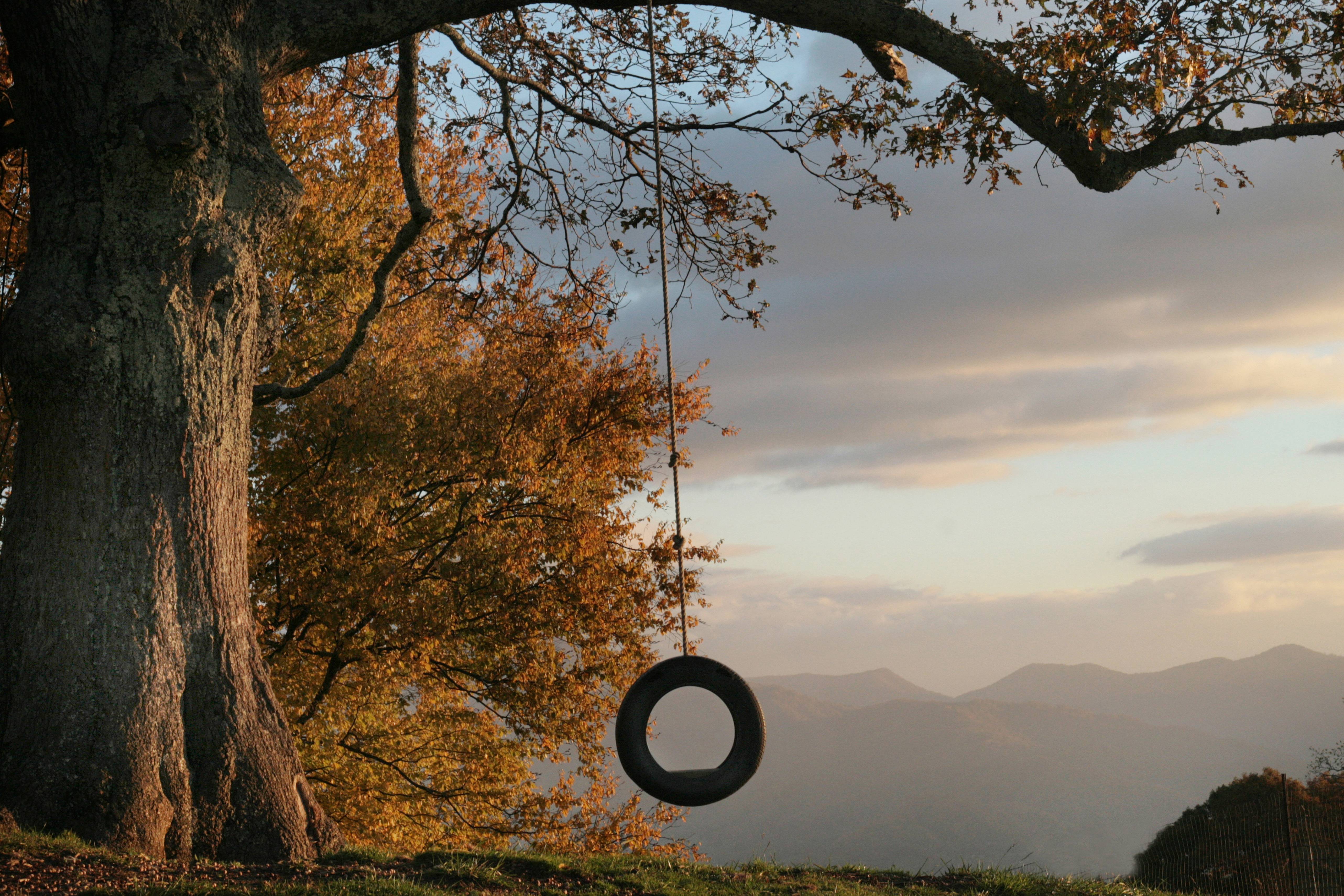 [Look] Why Did This 12-Year-Old Black Girl Come Back From a School Trip ...