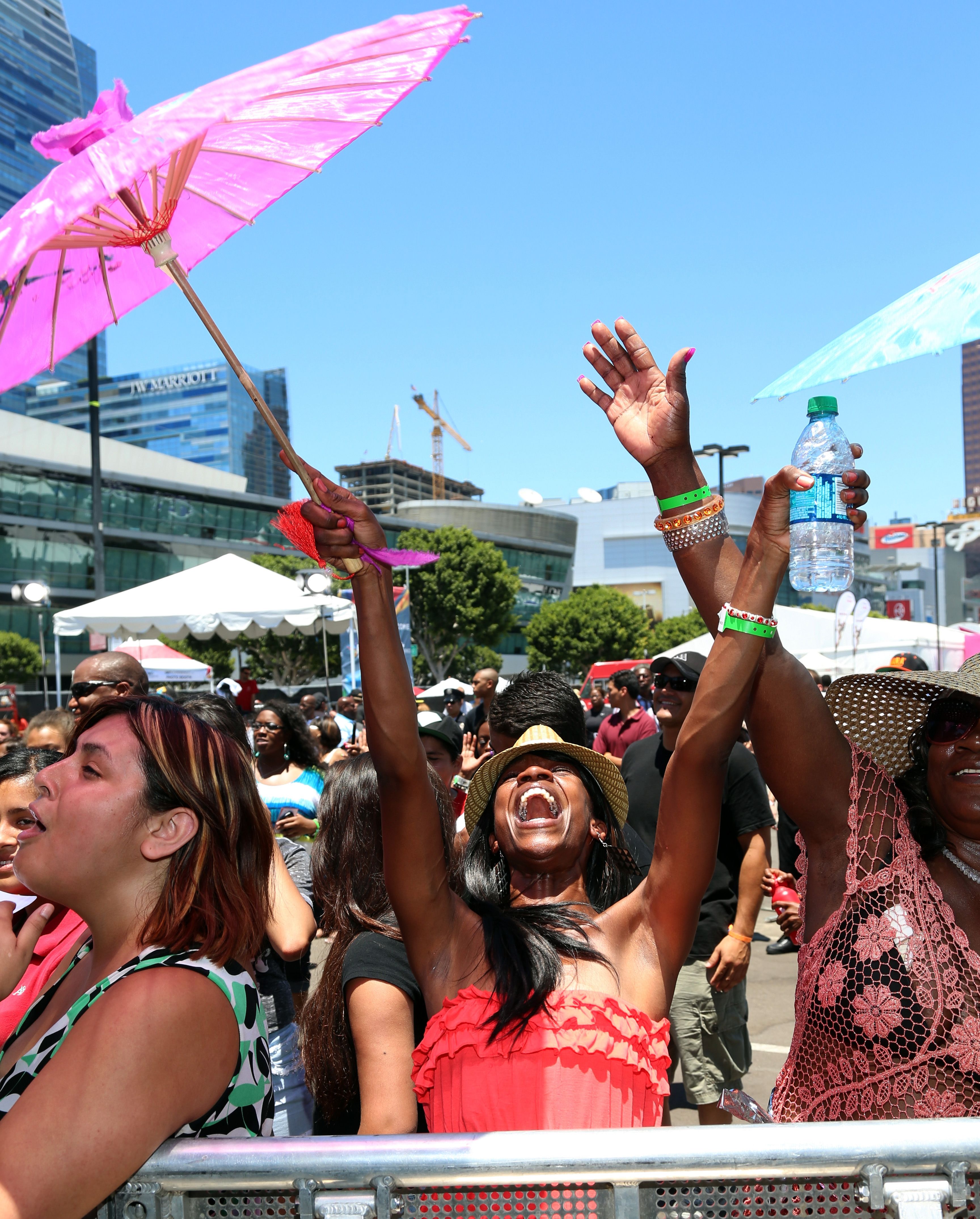 Fandemonium - Fans flock - Image 4 from Fan Fest: Music Matters Stage ...