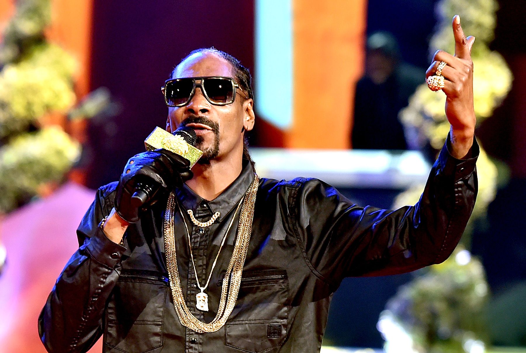 Snoop Lights Up Trees - Image 19 from 20 Really Nice Things Music Stars ...