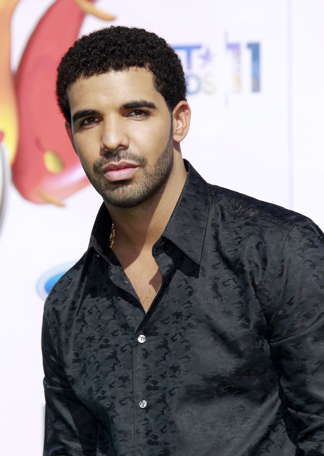 Drake - Drake has - Image 4 from Rappers Who'd Make a Good Match for ...