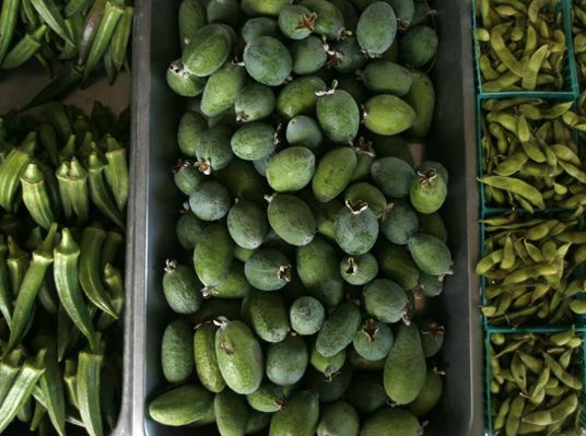 Get Yout Calcium - - Image 6 from How To Beat The Freshmen 15 | BET