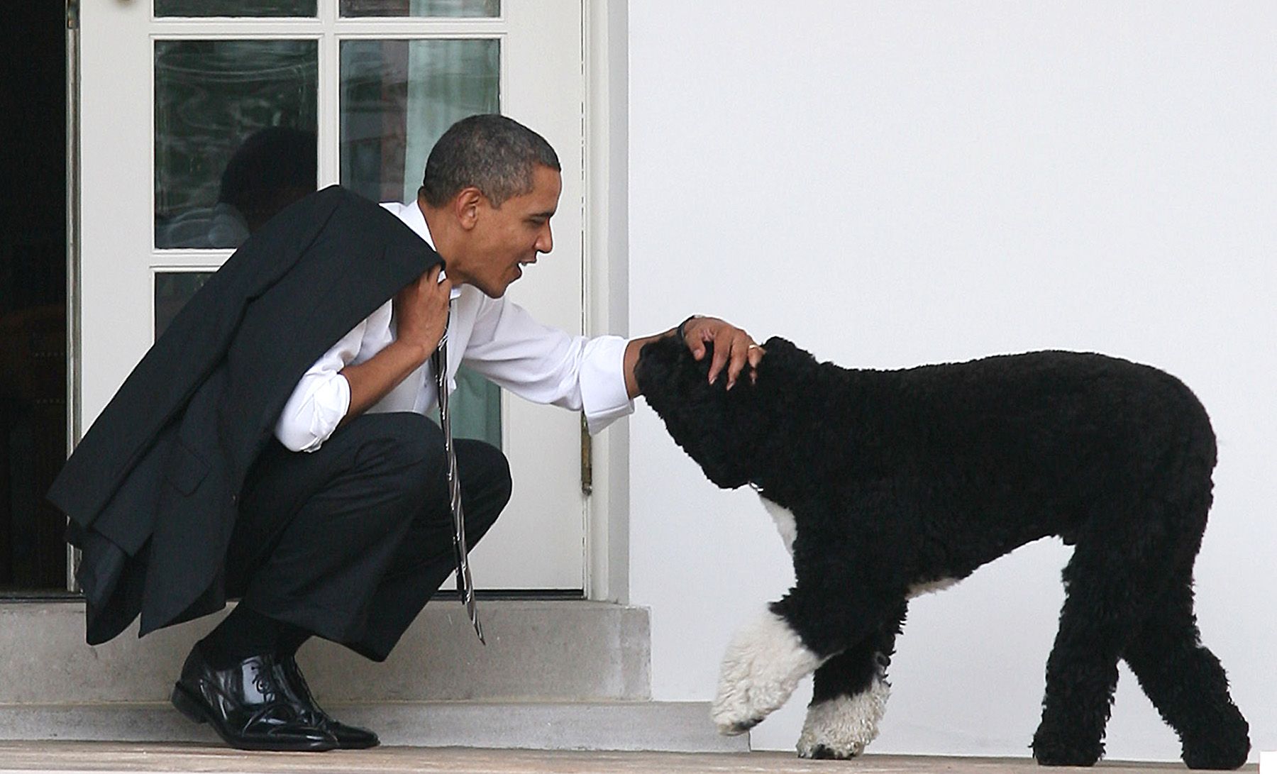 Bo Obama - Of - Image 9 from President Obama's Greatest Bromances | BET
