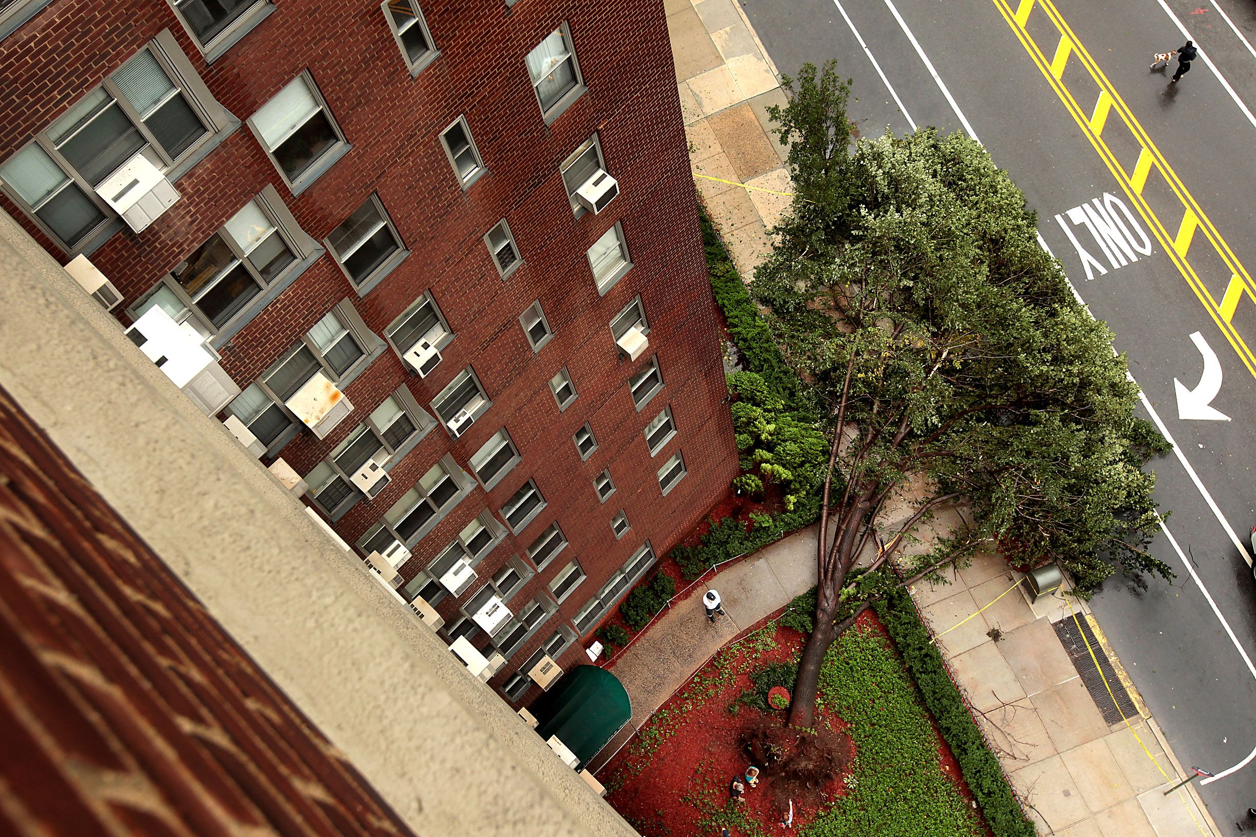 Hurricane Irene Winds Move - Image 8 from Photos: Hurricane Irene | BET