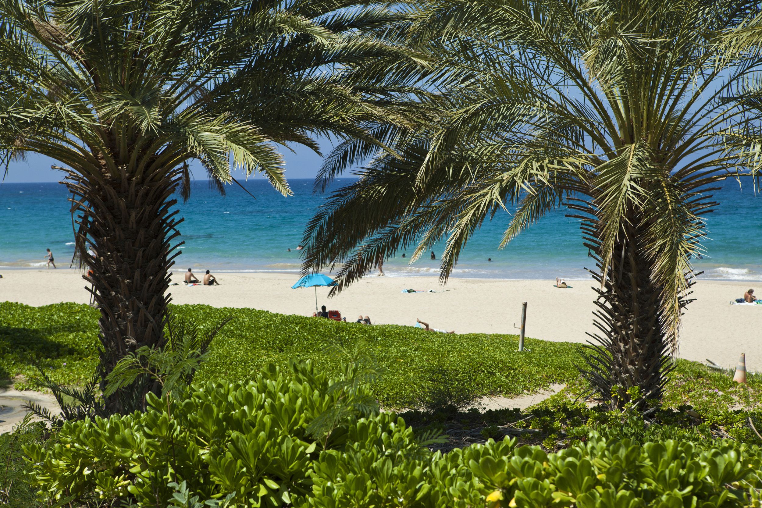 Hapuna Bay - The - Image 3 from Fall in Love with Hawaii's Kohala Coast ...