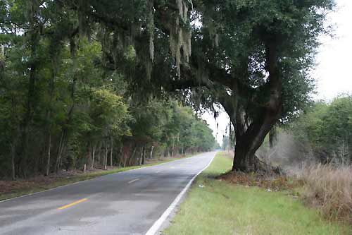 Land's End Road - - Image 8 from Scream Scene: 10 Haunted Places to ...