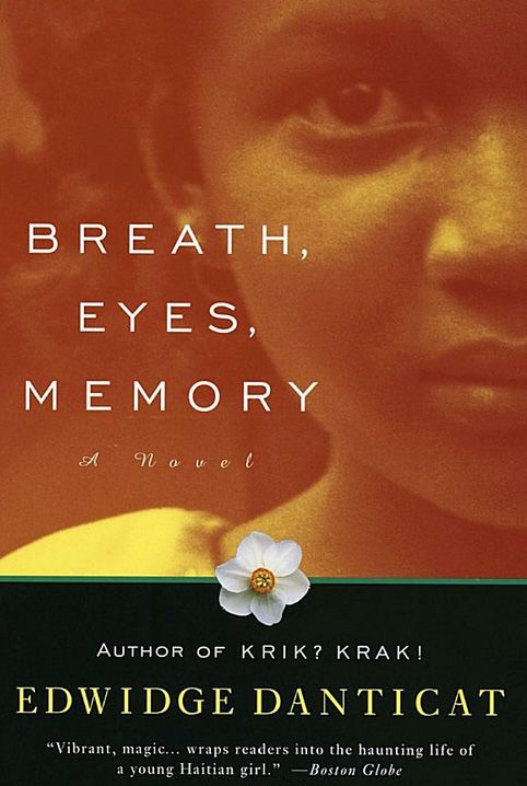Breath, Eyes, Memory - - Image 11 from 15 Books Every Black Woman ...