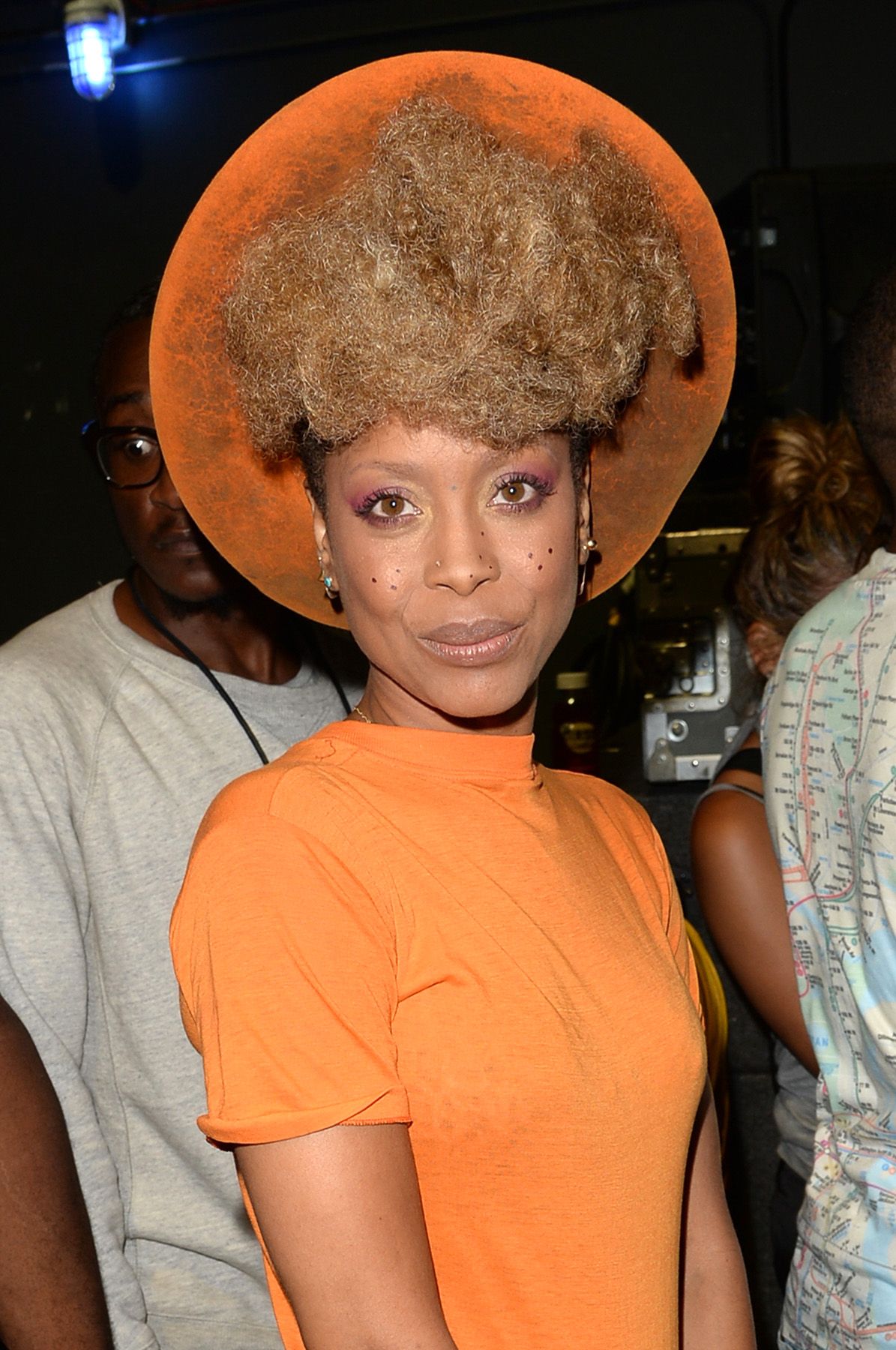Erykah Badu - Image 3 from Going Green: 10 Celebrities Who Gave Up Meat ...