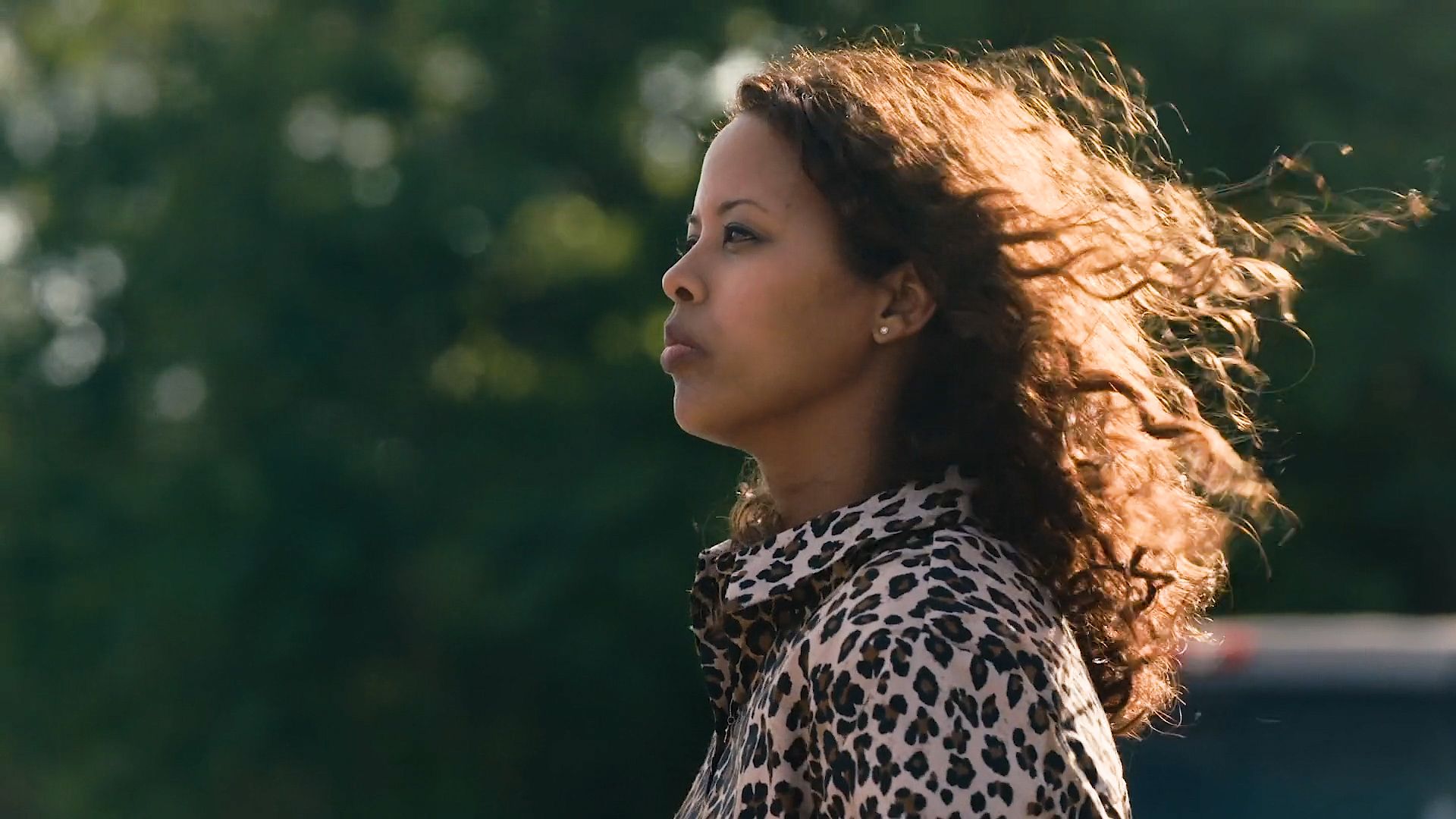 Queen Collective Season 4 Showcases Six New Films and Voices in Film ...