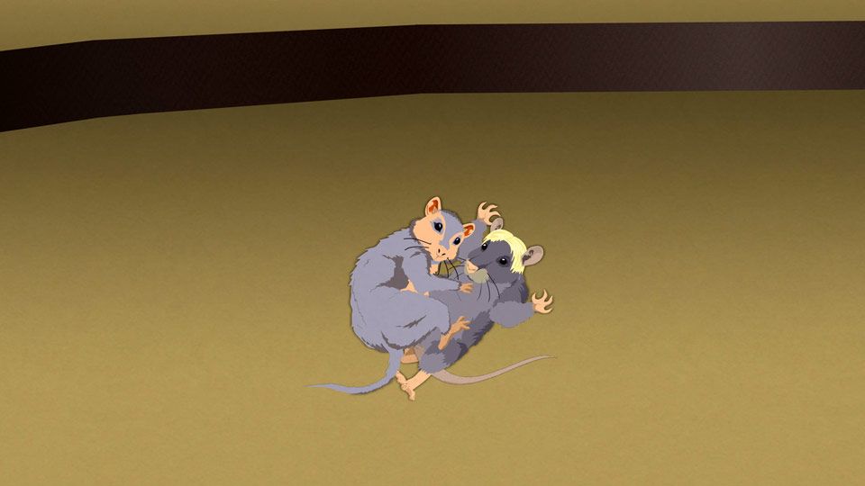 I Am Catatafish - South Park (Video Clip) | South Park Studios US