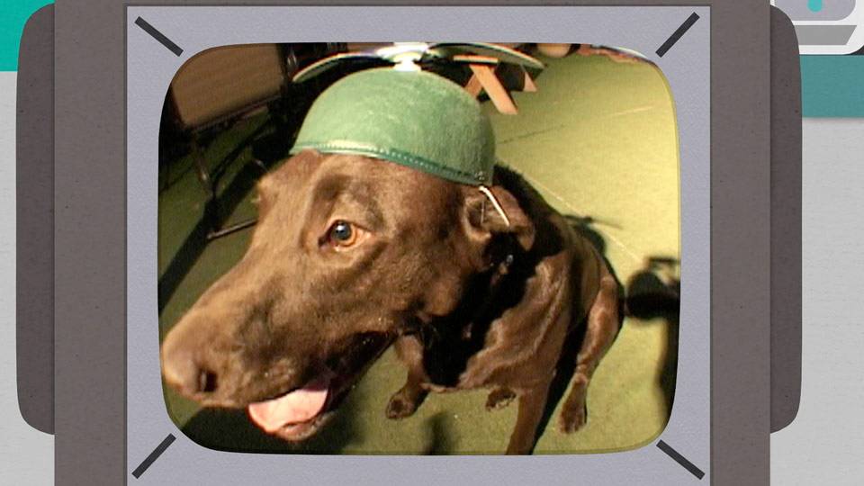 Trip Balls - South Park (Video Clip) | South Park Studios US