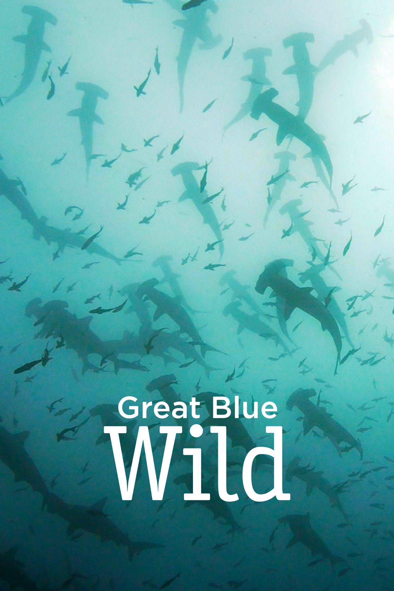 Smithsonian Channel | Homepage - Shows, Specials & Schedules