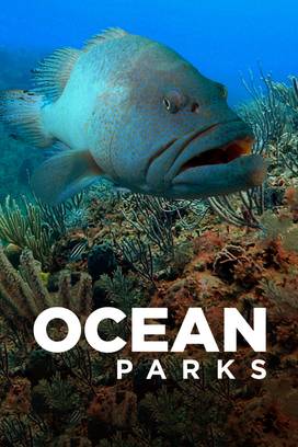 Smithsonian Channel | Homepage - Shows, Specials & Schedules