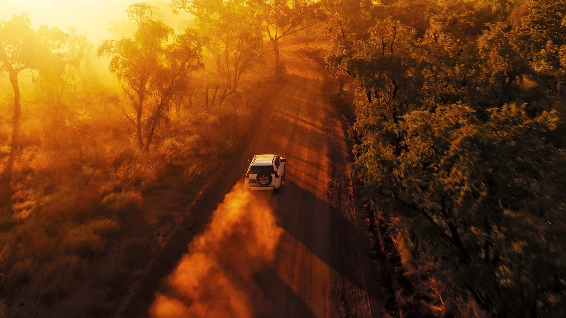 Smithsonian Channel | Homepage - Shows, Specials & Schedules