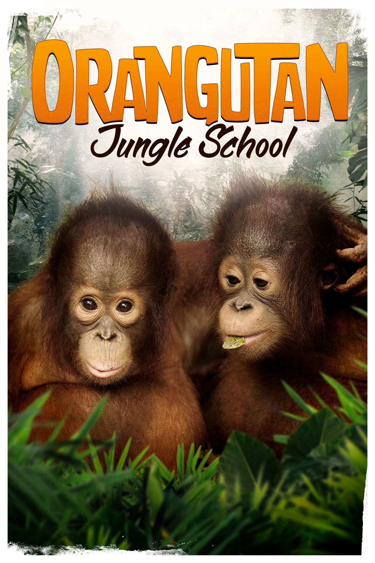 Smithsonian Channel | Homepage - Shows, Specials & Schedules