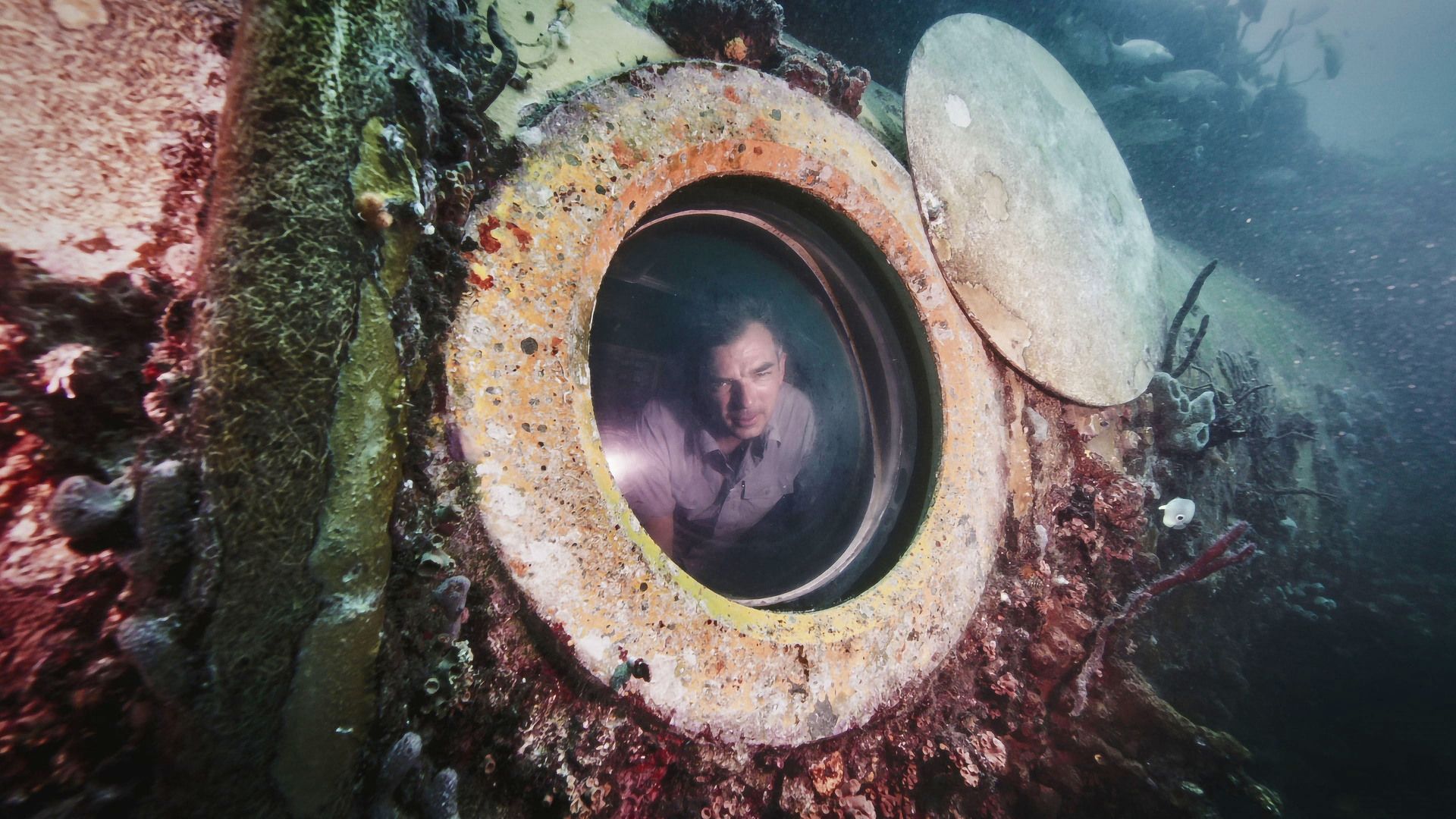 Tv Shows Watch Shows Online Smithsonian Channel