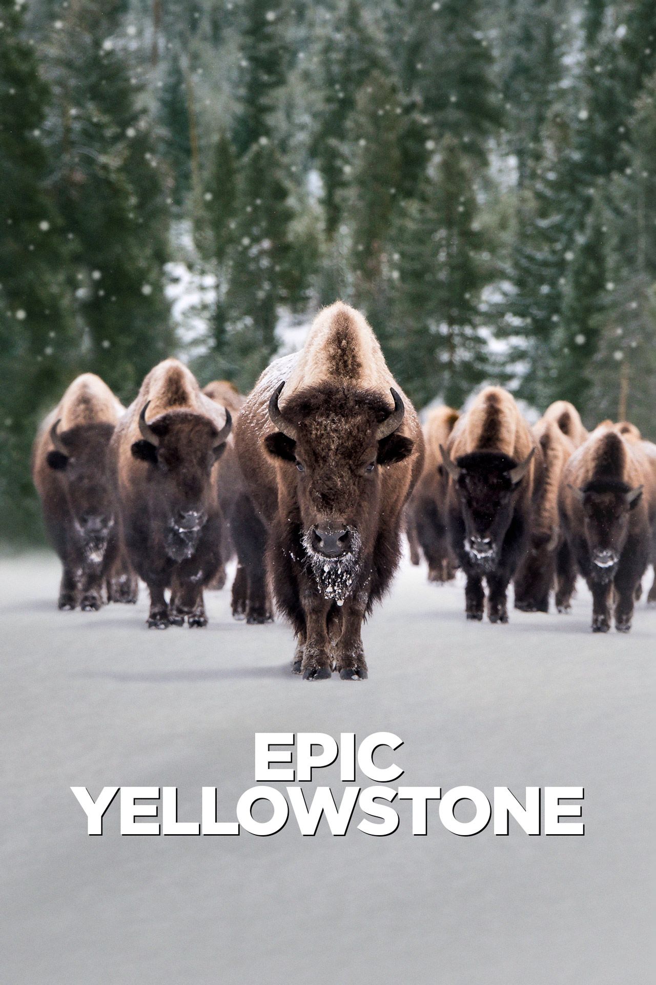 Smithsonian Channel | Homepage - Shows, Specials & Schedules